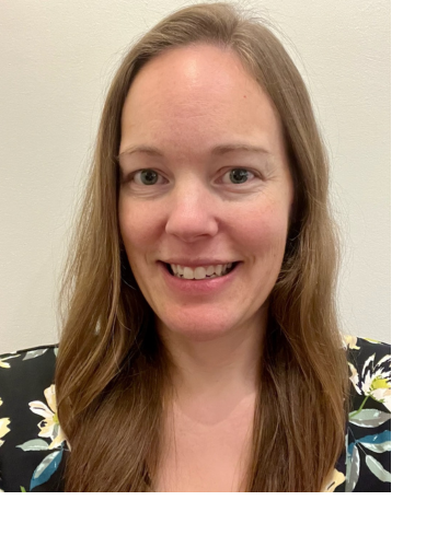 NISS/FCSM AI in Federal Government: Challenges in Confidentiality ...